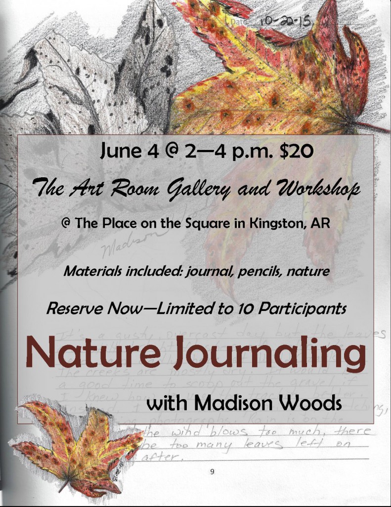 Nature Workshop with Madison Woods | Wild Ozark™