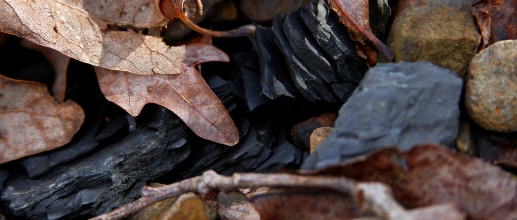 Making Gray Paint from Shale | Wild Ozark™