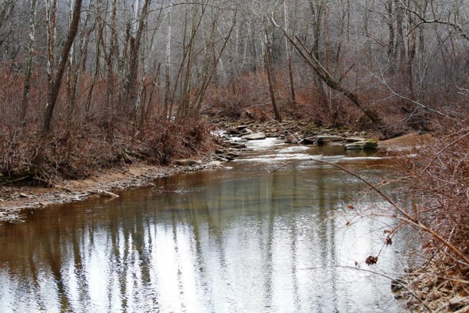 Kings River Falls - Photos from our hike | Wild Ozark™