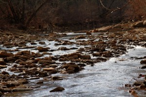 Kings River Falls - Photos from our hike | Wild Ozark™