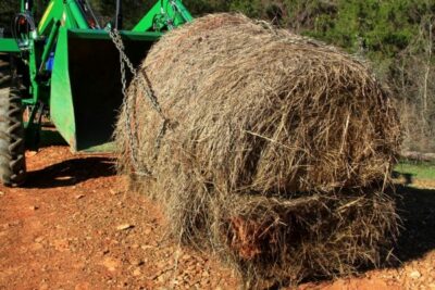 How to move a round bale without a hay spike by using the front-end ...