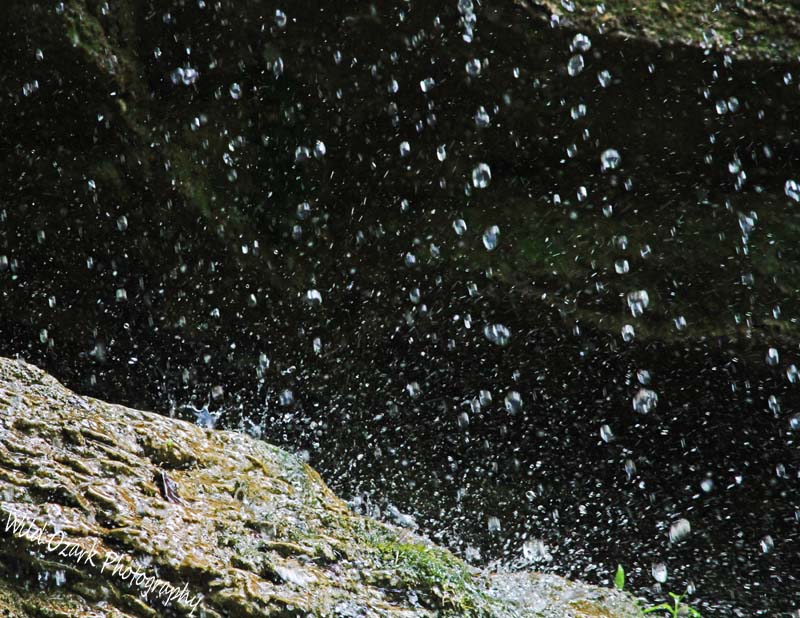 The Land Inspires | Wild Ozark™