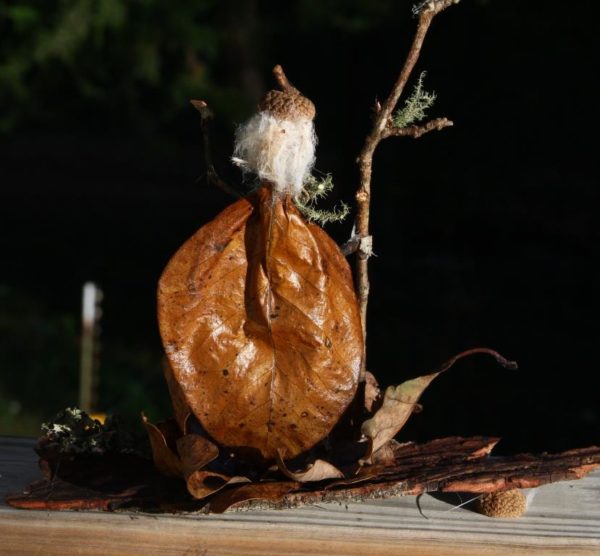 Acorn People are a Great a Way to Justify Collecting Things | Wild Ozark™