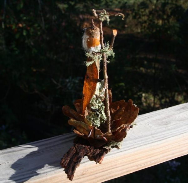 Acorn People are a Great a Way to Justify Collecting Things | Wild Ozark™