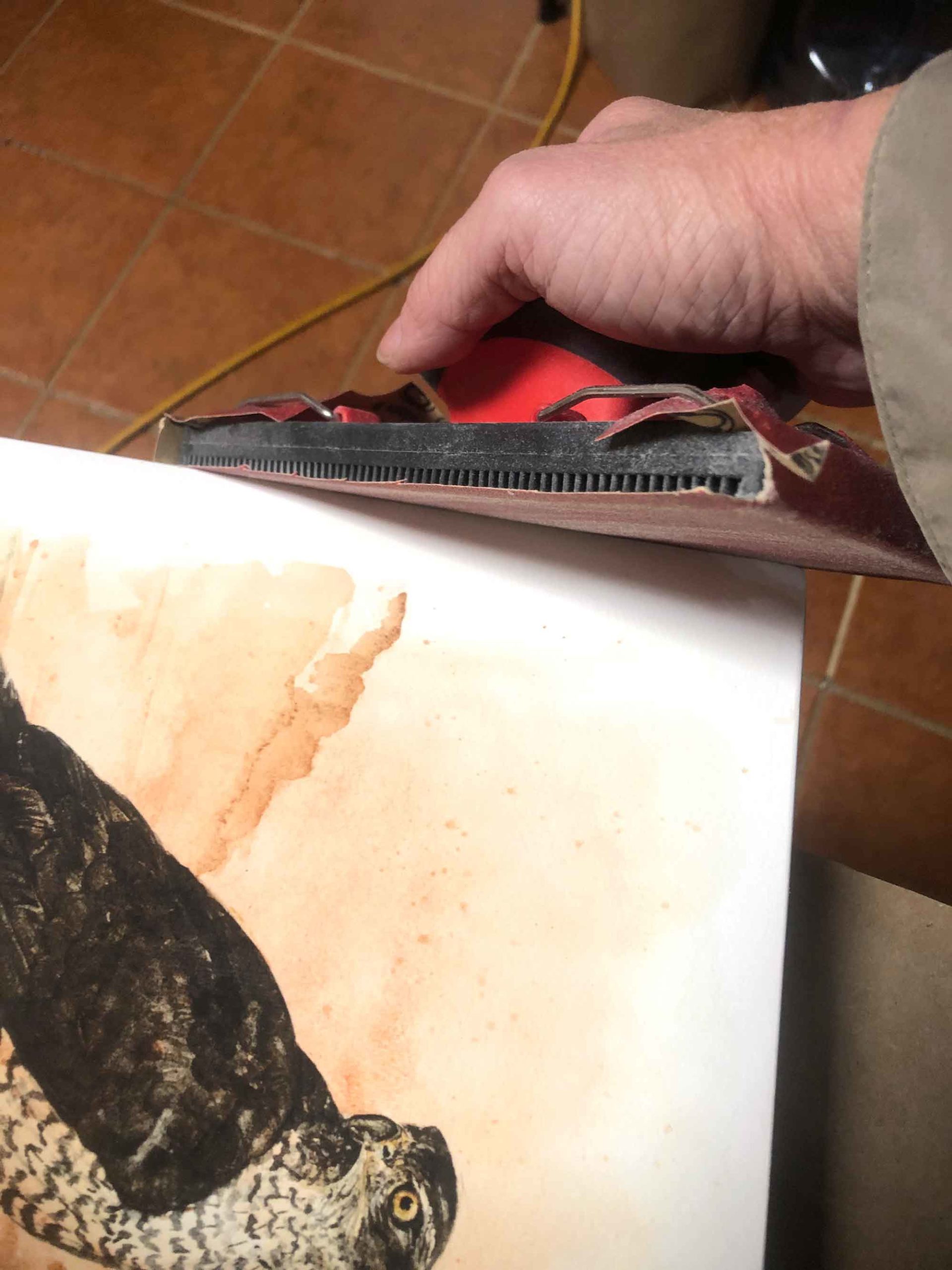 Making Mounted Prints the Wild Ozark Way | Wild Ozark™