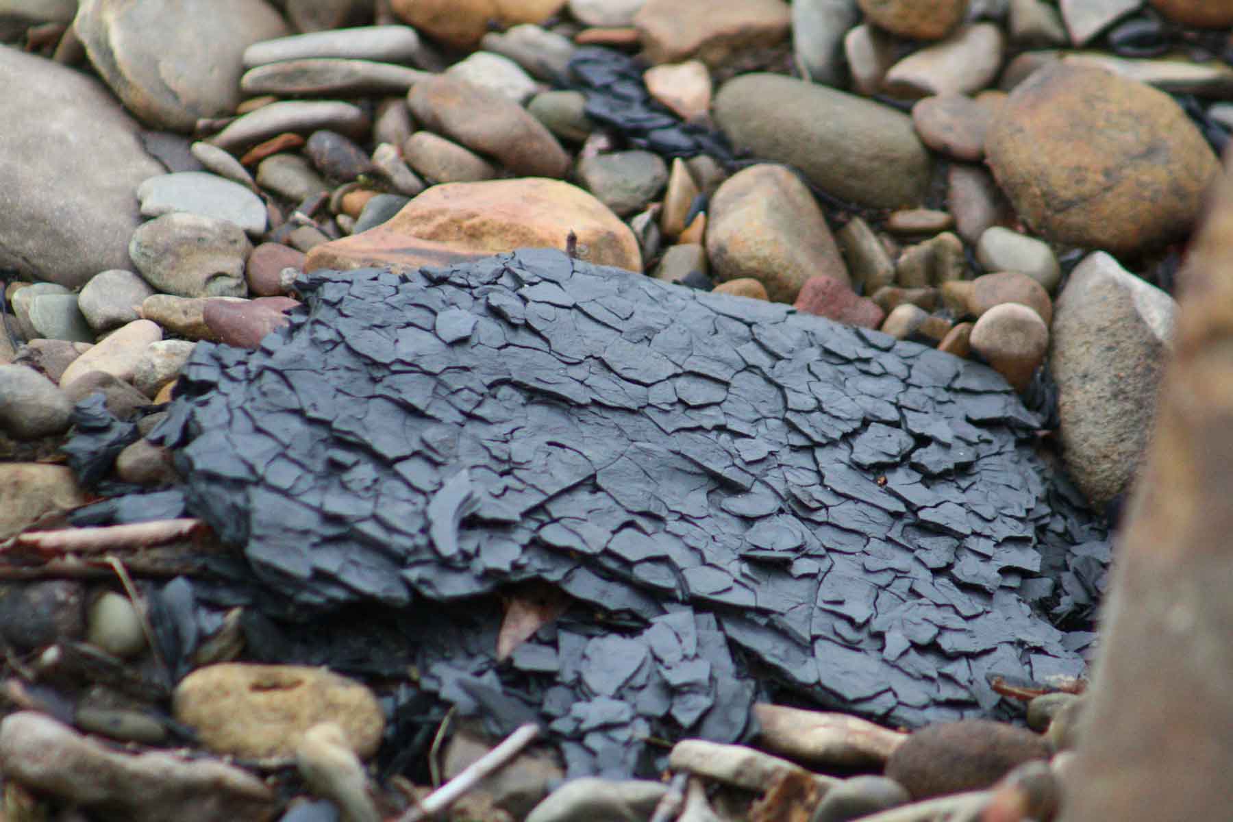 Making Gray Paint from Shale | Wild Ozark™