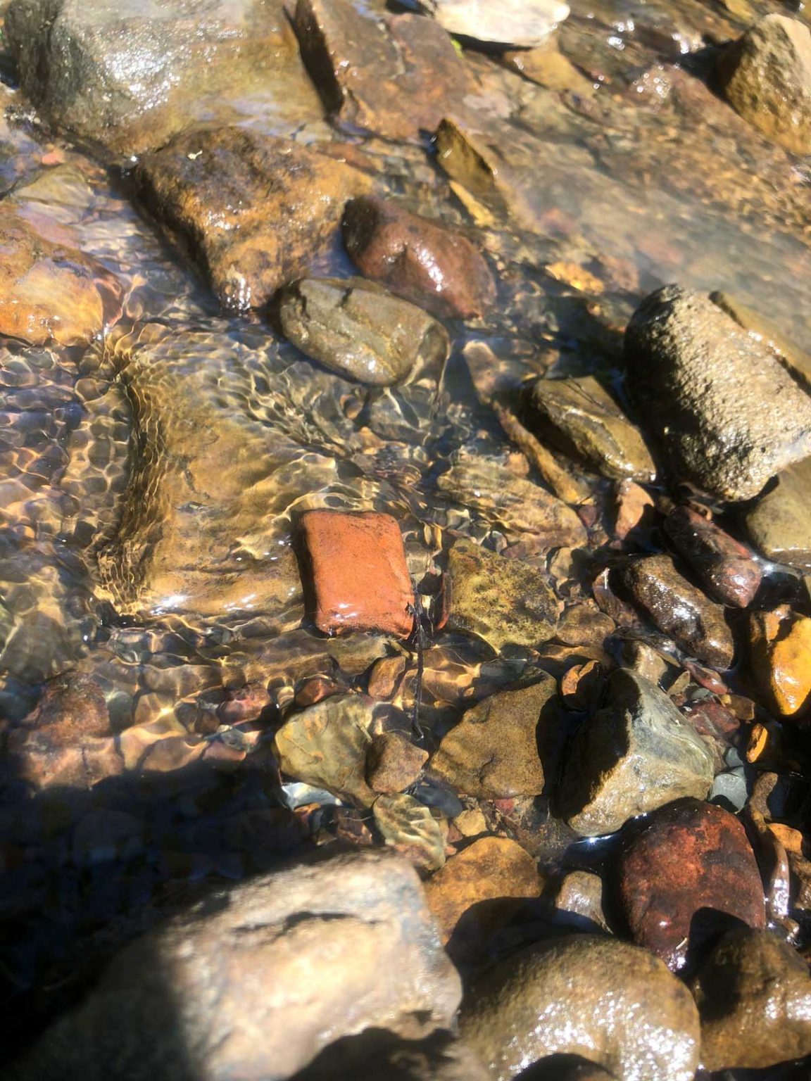 A Color Story | Earth Pigments | From Rocks to Paint | Wild Ozark™