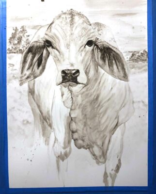 Cow Portrait | Whisper, the Brahman cow | Painting Process
