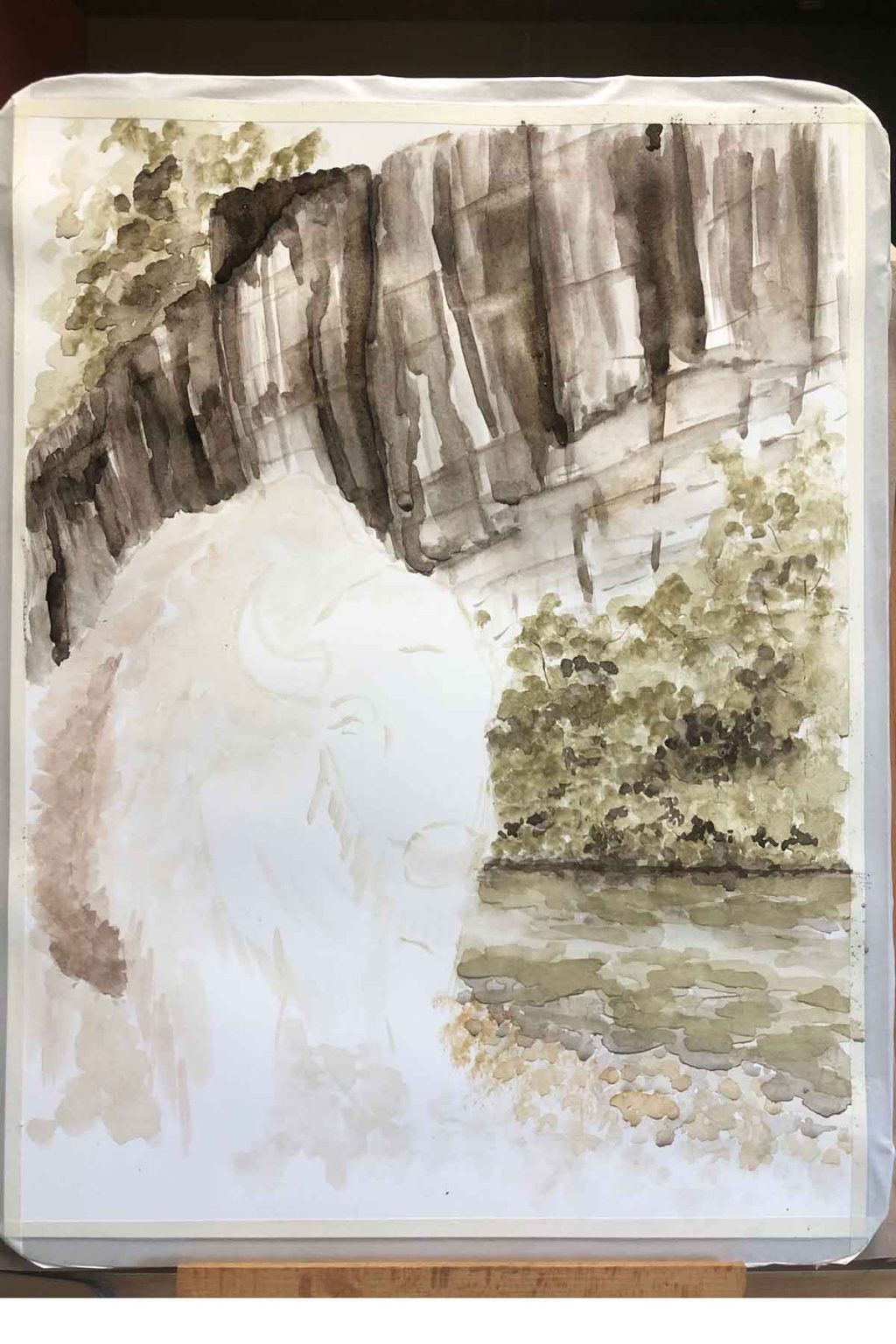 How Did the Buffalo National River Get its Name? | "Namesake"