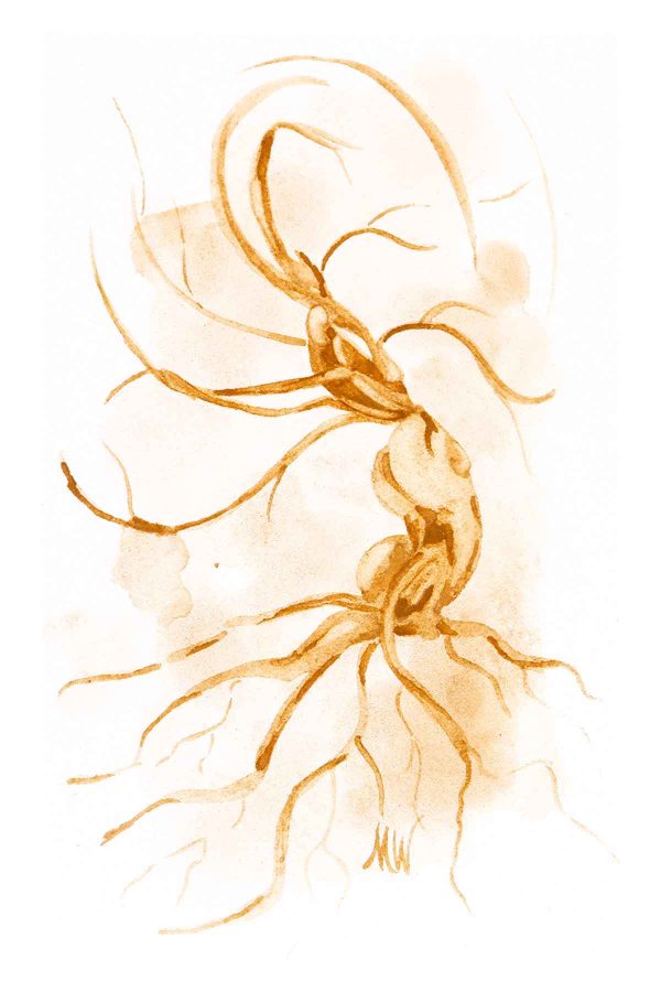 What to buy a Nature Lover? | A One-of-a-Kind Twisted Tree Painting!