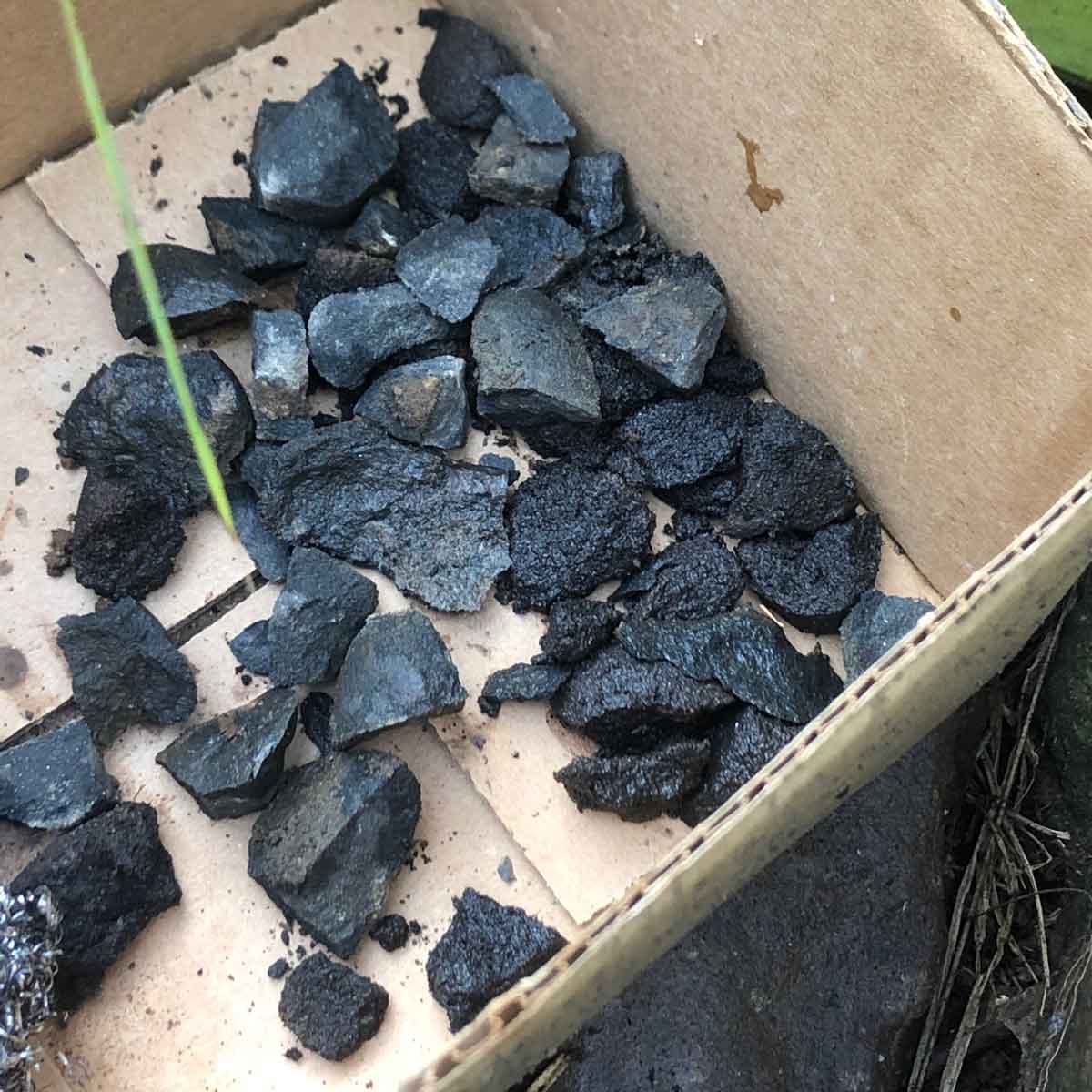 Black Pigment | My Favorite Source is the Hardest | Wild Ozark™