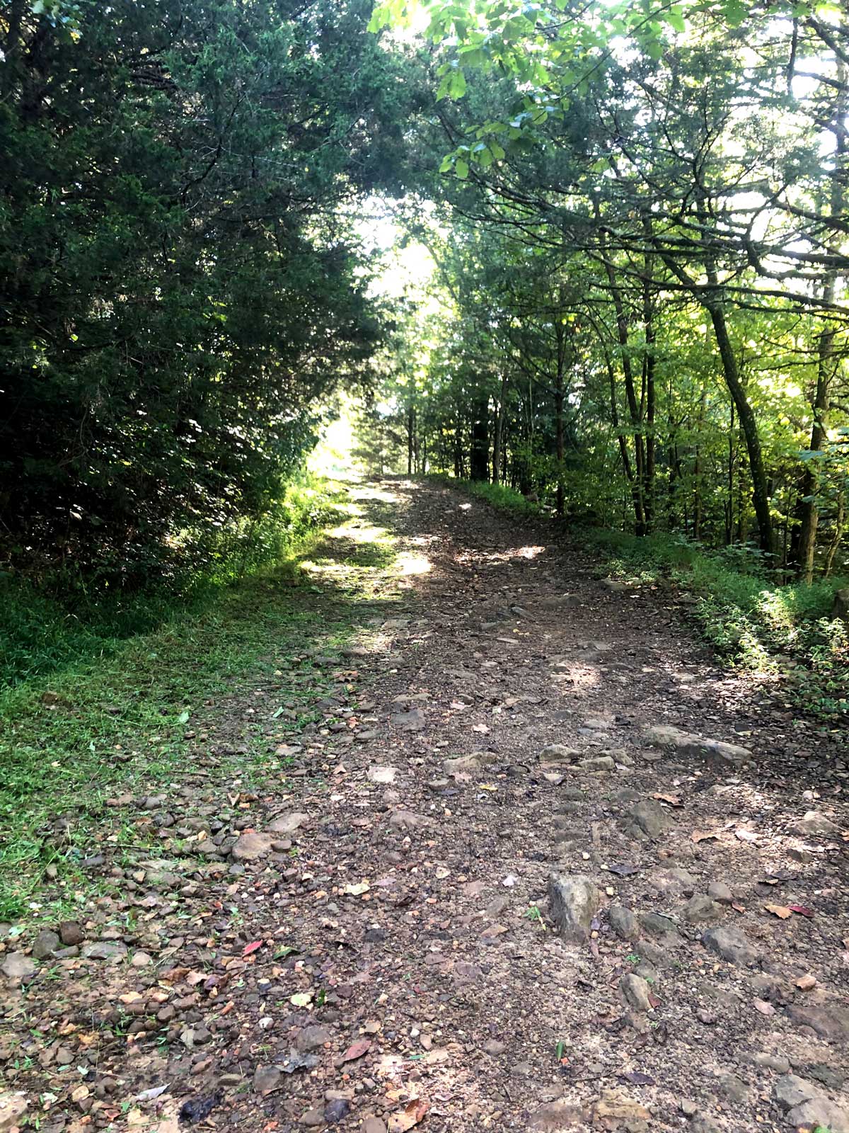 Encroachment Goes Both Ways | Striking a Balance | Wild Ozark™