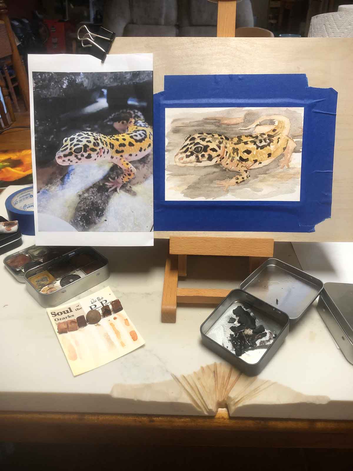 Update on the Gecko Paintings | Wild Ozark™