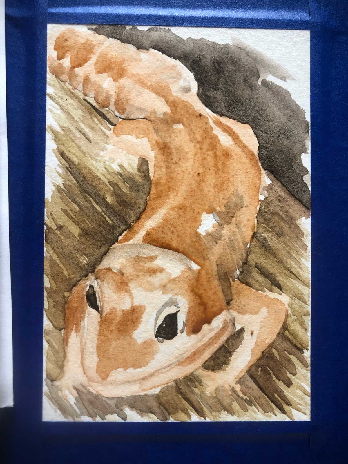 Update on the Gecko Paintings | Wild Ozark™