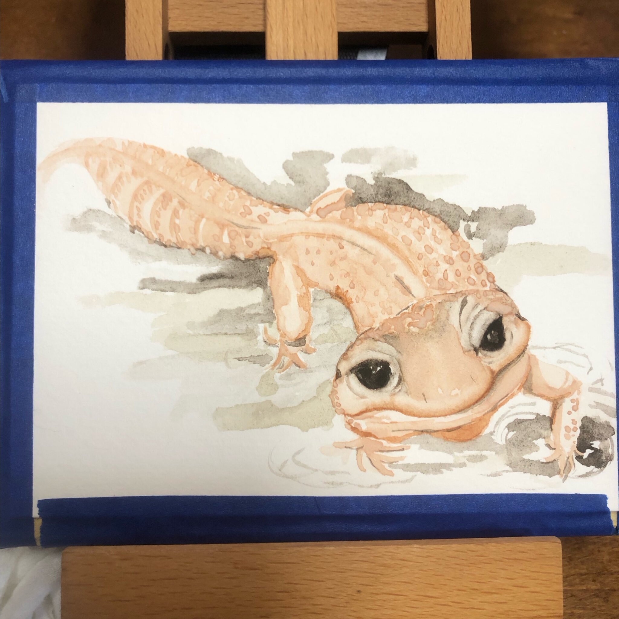 Update on the Gecko Paintings | Wild Ozark™