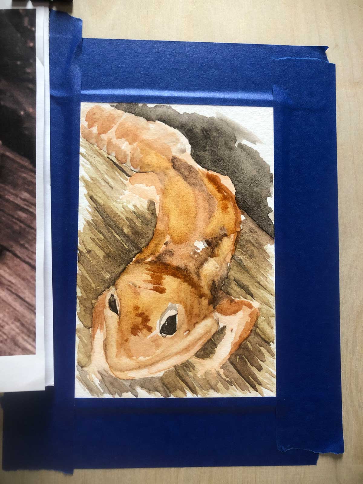 Update on the Gecko Paintings | Wild Ozark™