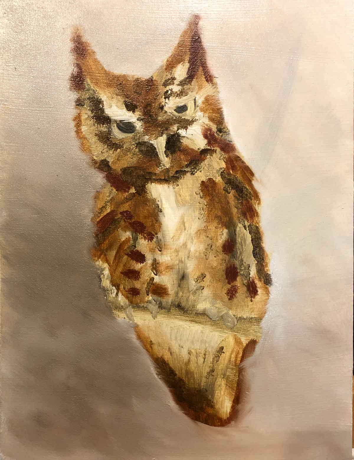 Painting of a Screech Owl | Ozark Birds of Prey | Wild Ozark™