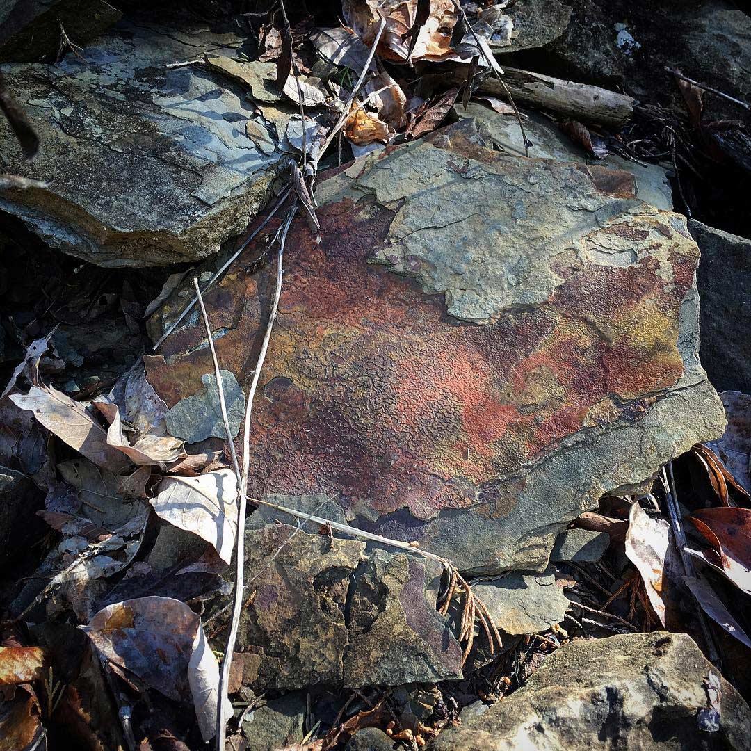 Wild Waterfall Shale | Wild Ozark™