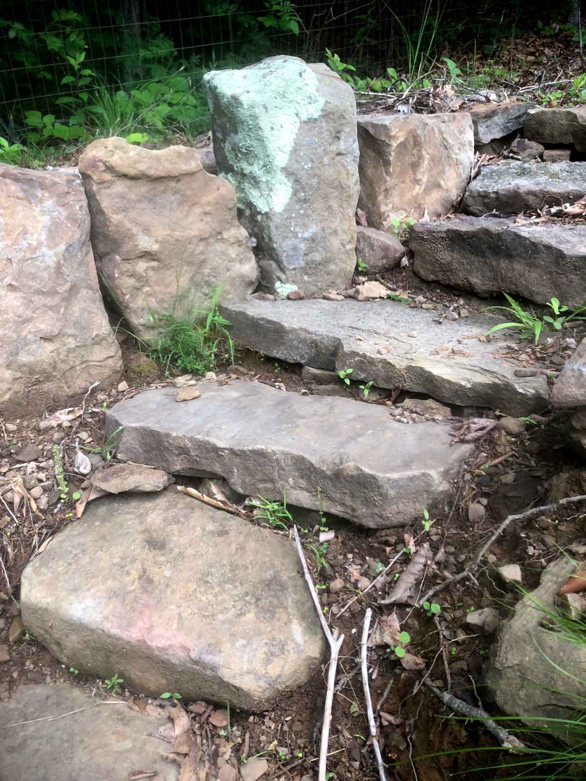 Musings from an Ozark nature artist | Wild Ozark™