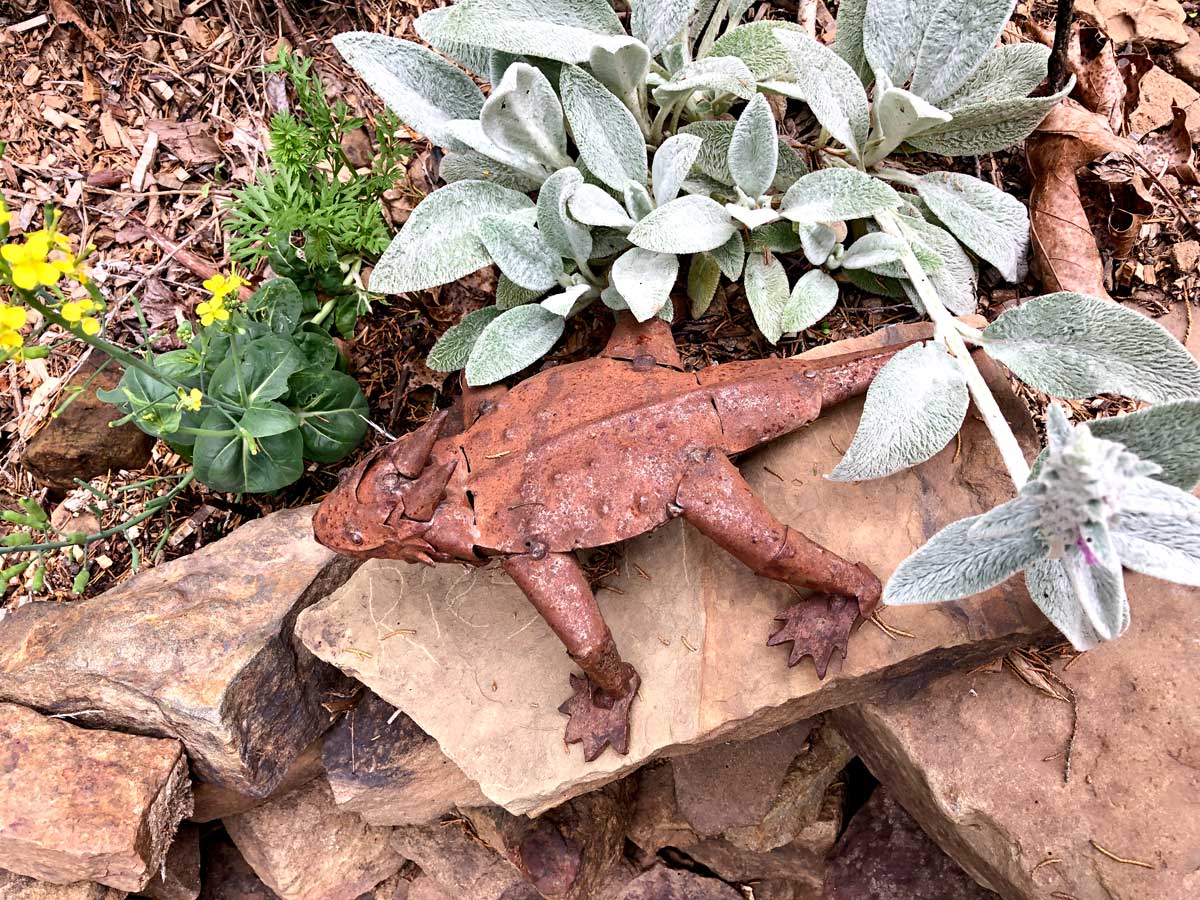 Musings from an Ozark nature artist | Wild Ozark™