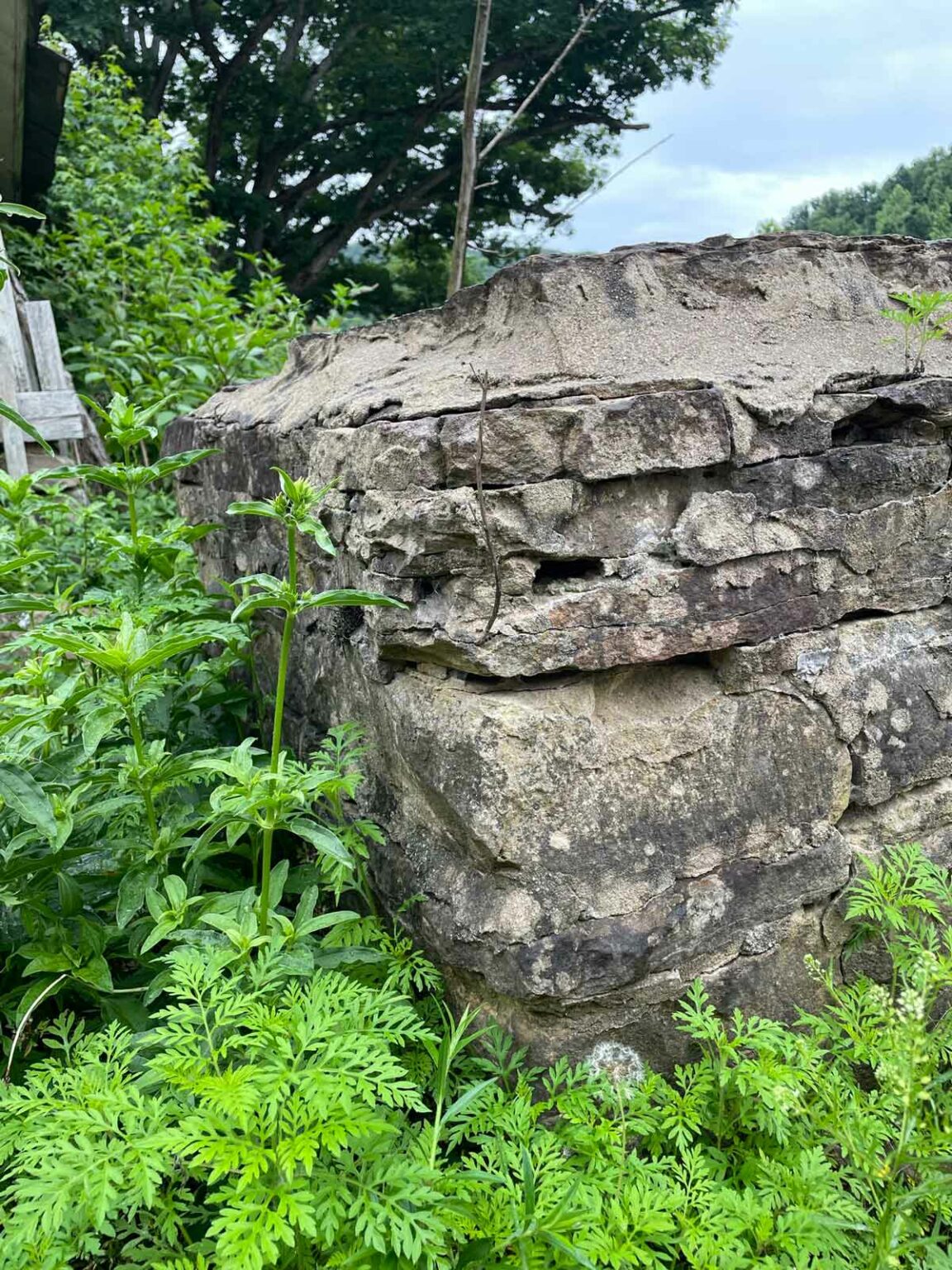 3 Creative Ways to Use Rocks