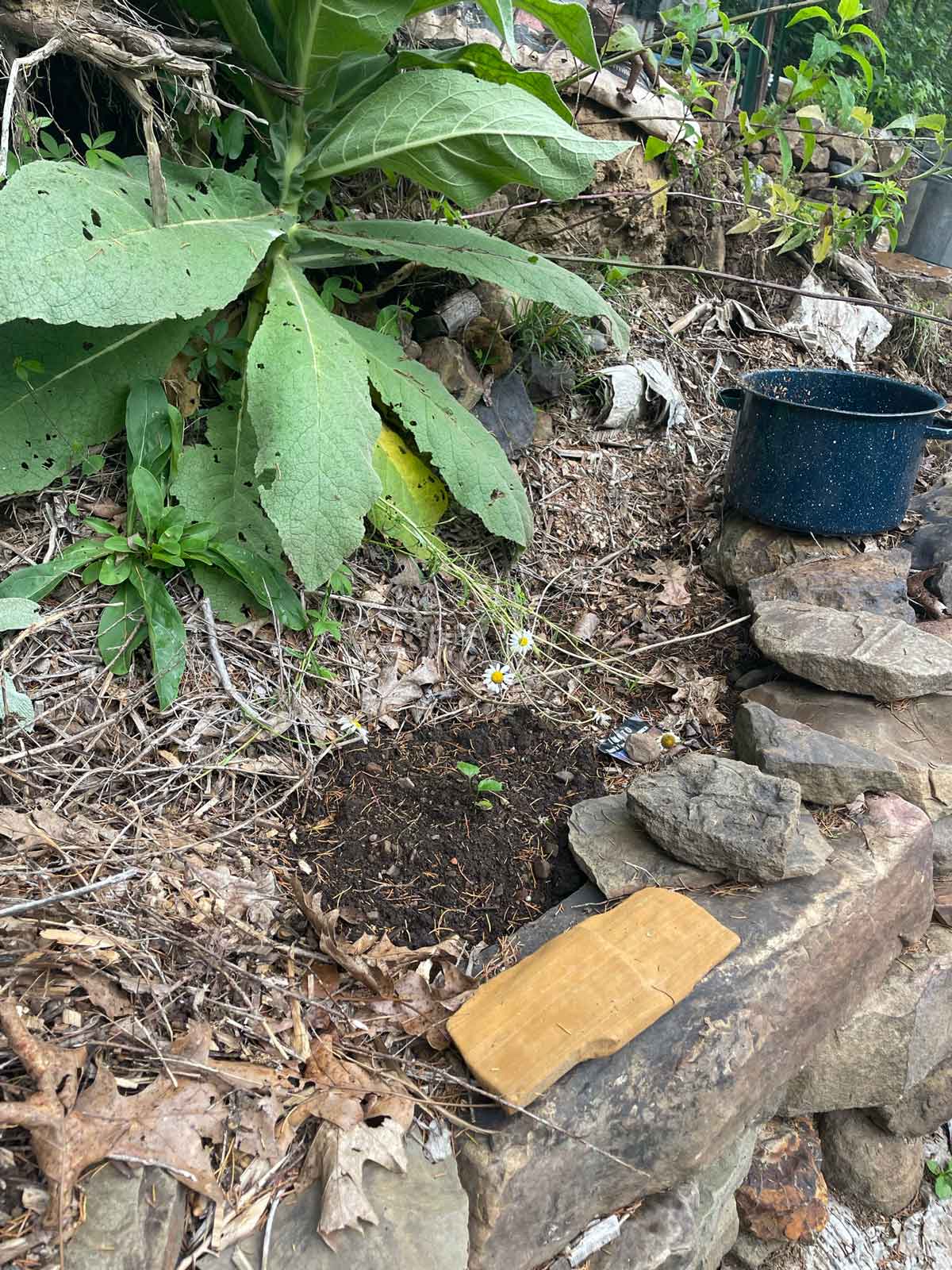 3 Creative Ways to Use Rocks