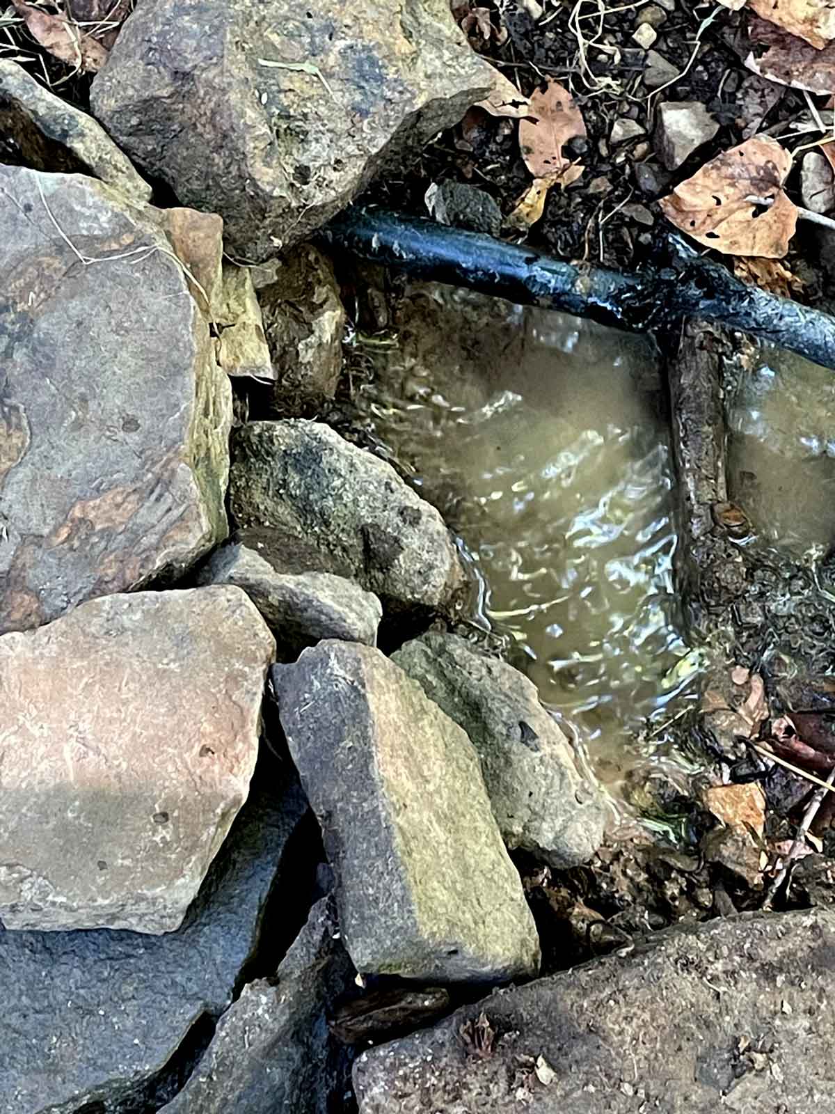 Hiking up the Mountain | Wild Ozark™