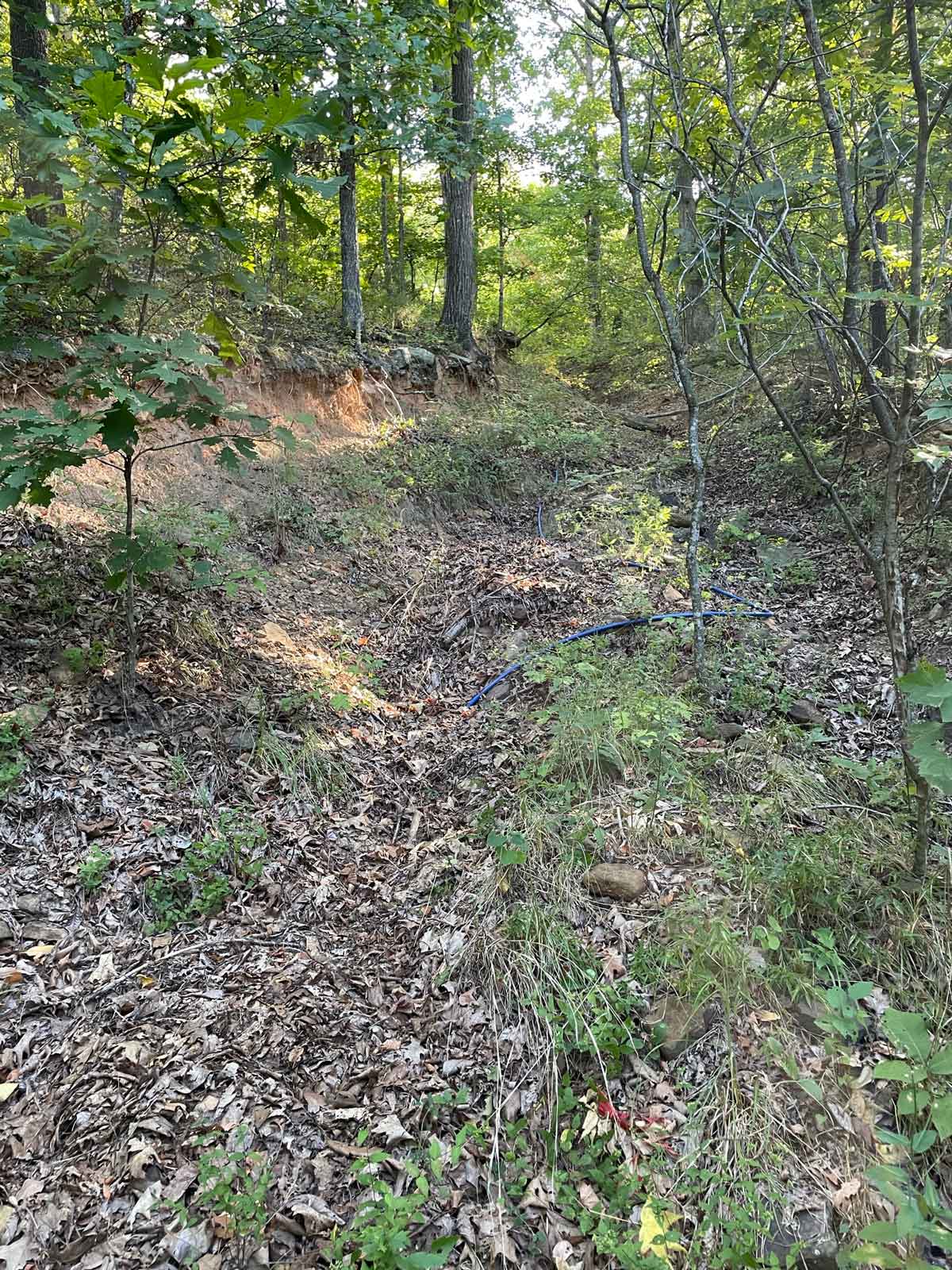 Hiking up the Mountain | Wild Ozark™