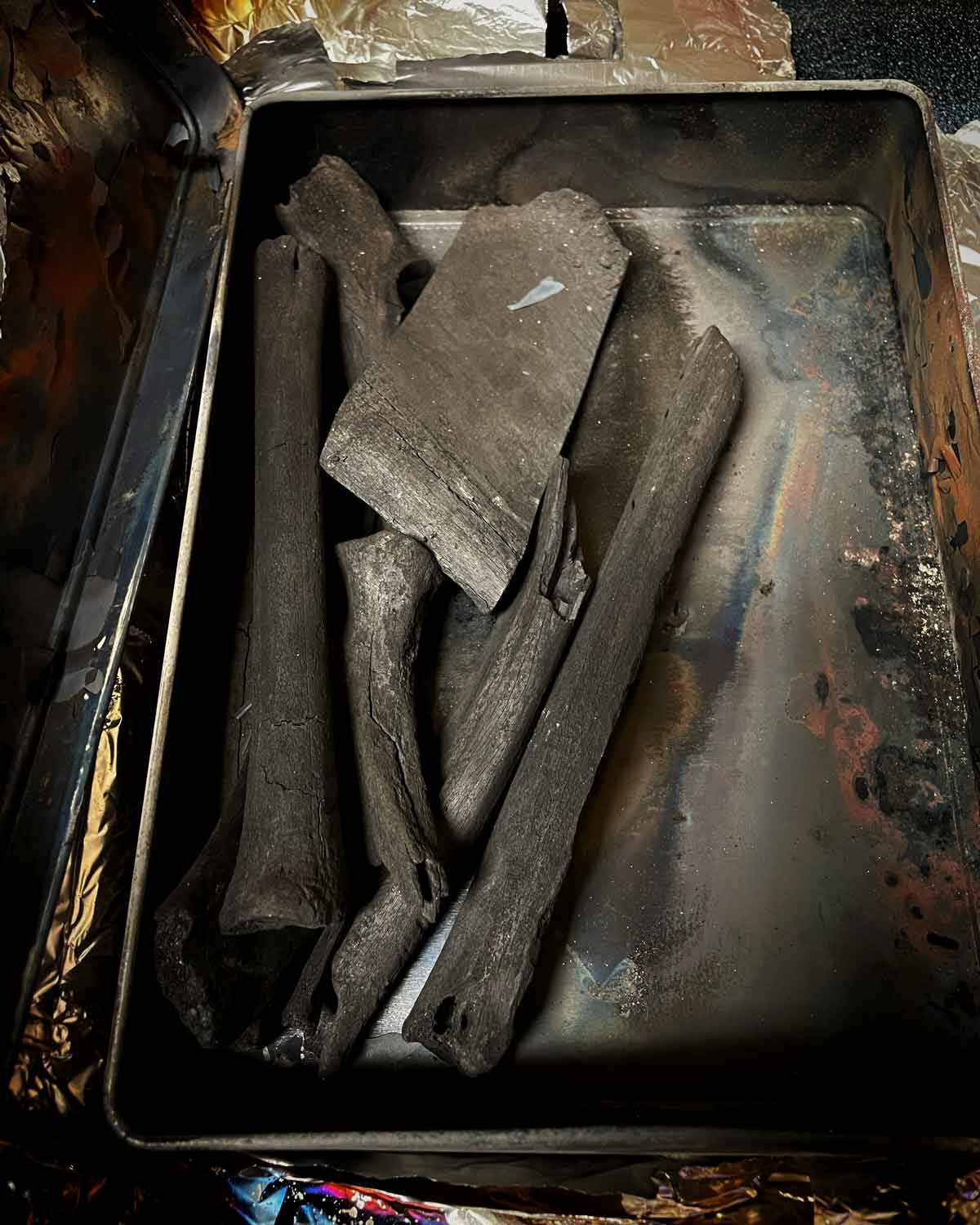 Warm Winter Fires & Charred Bones for Pigment | Wild Ozark™