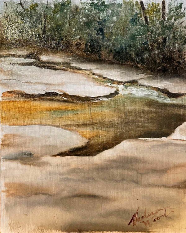 Portfolio | Unique Art by Madison Woods | Wild Ozark™