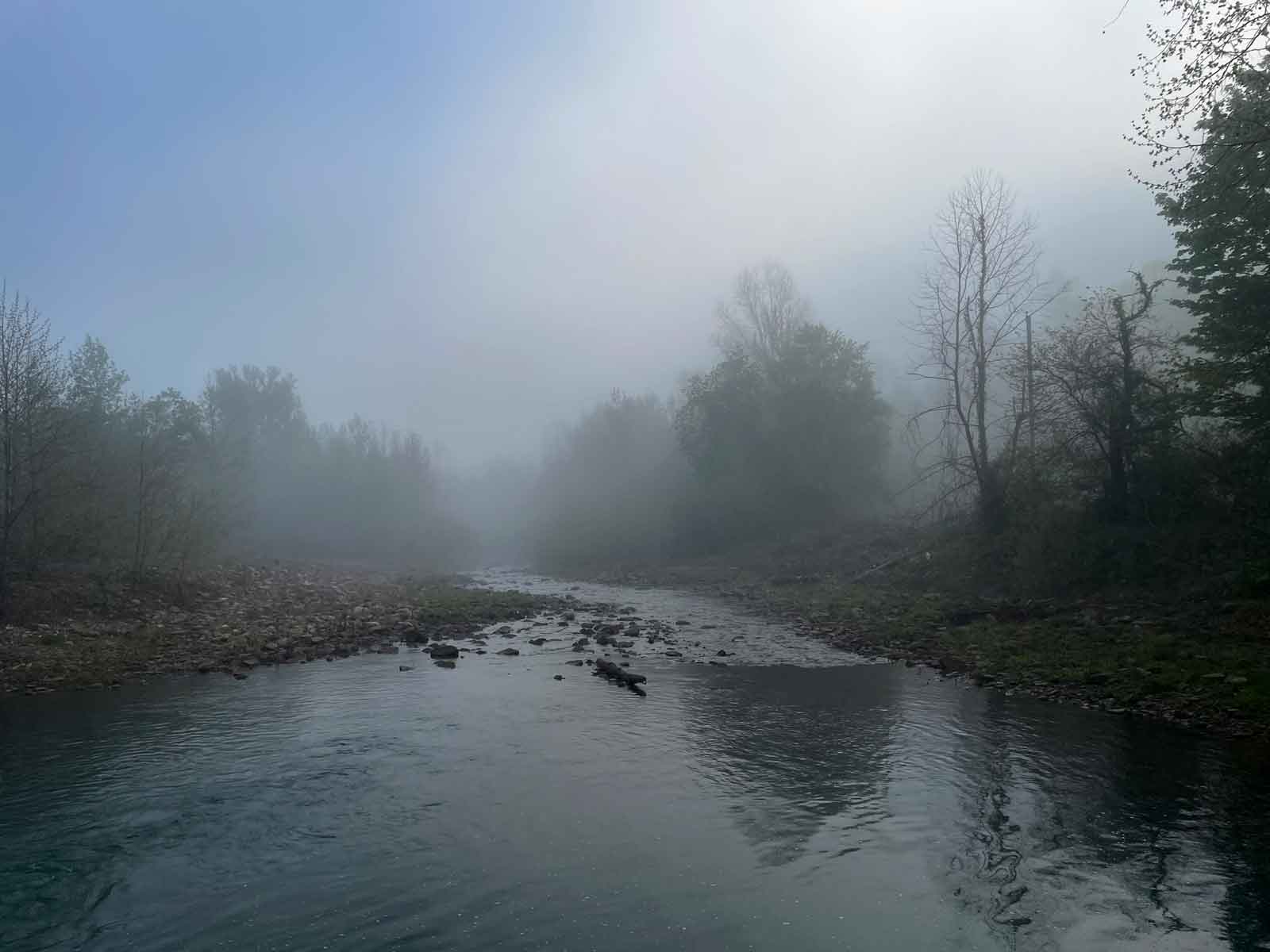 Gone to Ground | Wild Ozark™