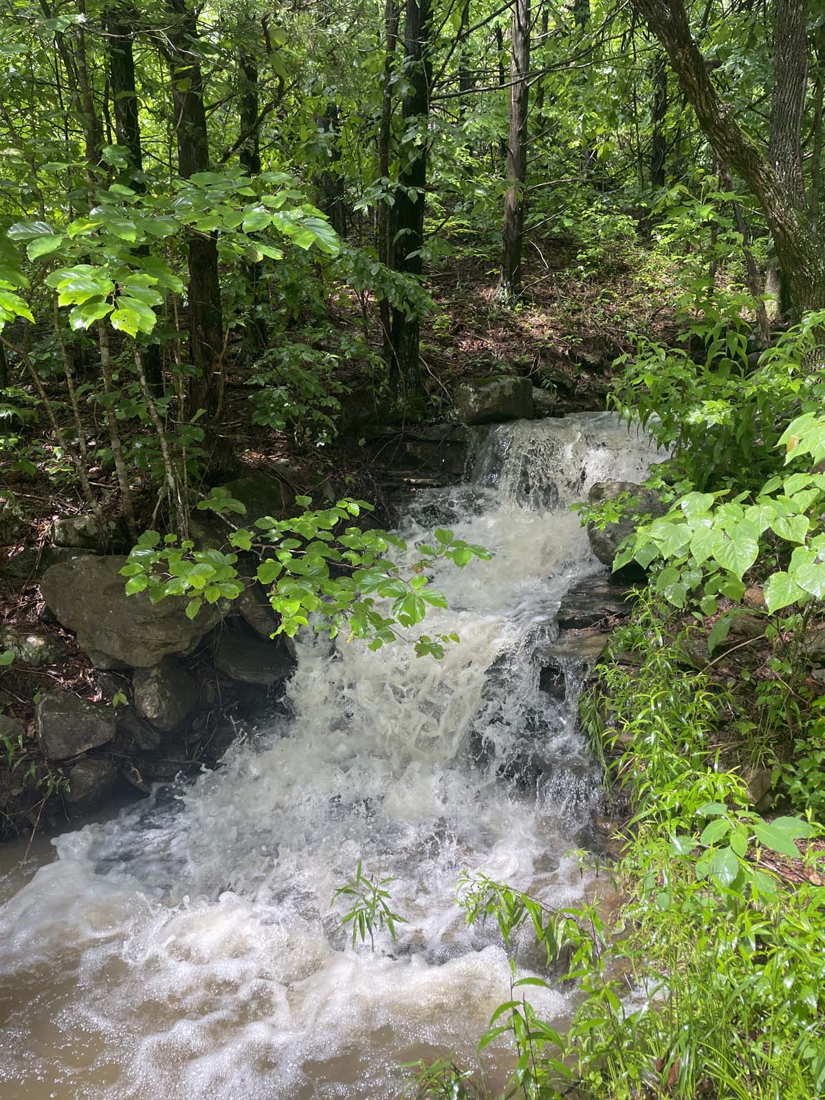 Piddling Days | Wild Ozark™